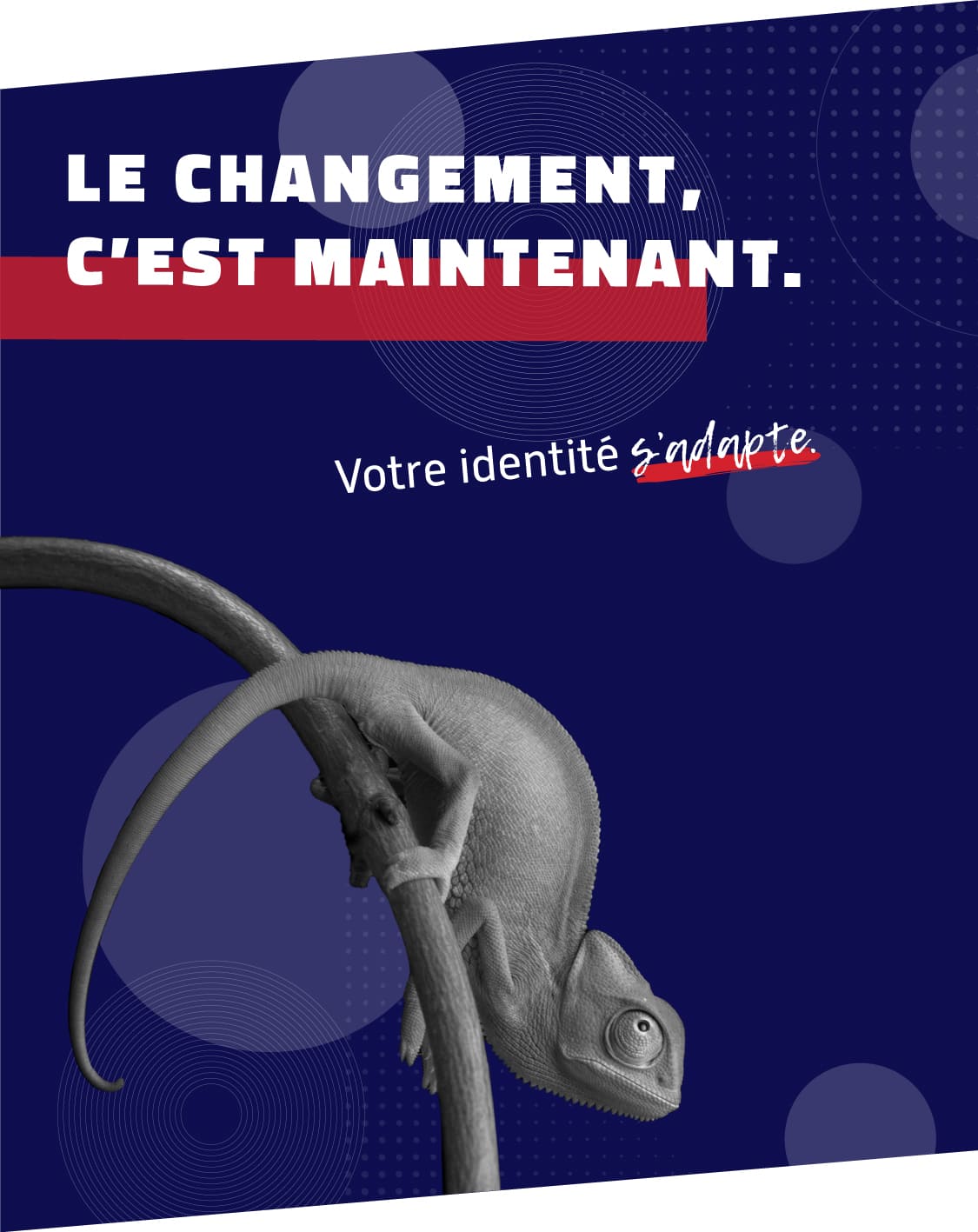 creation-identite-visuelle-lyon-1-mobile | Numéria Communication creation-identite-visuelle-lyon-1-mobile | Numéria Communication